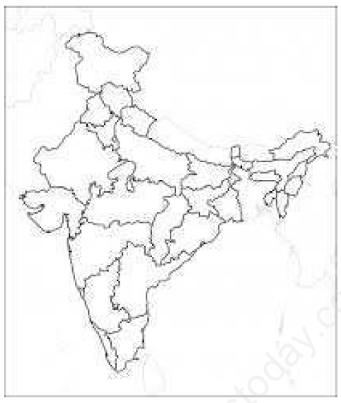 CBSE Class 1 EVS Revision Assignment Set A